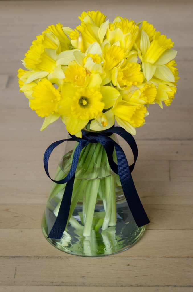 Super Speedy Daffodil Arrangement - Lemon Thistle