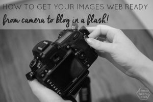 How I get my Photos Web Ready - Lemon Thistle
