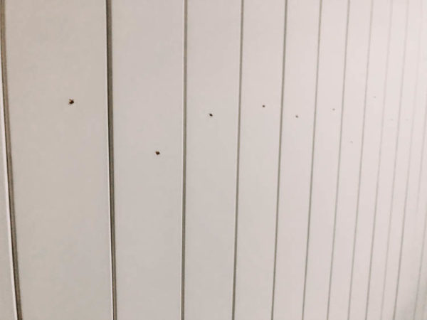 Easy DIY Vertical Shiplap Wall - Shortcuts + Tips! Lemon Thistle