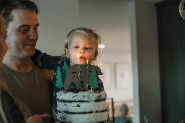 2 Year Old Bear Birthday Party - Lemon Thistle