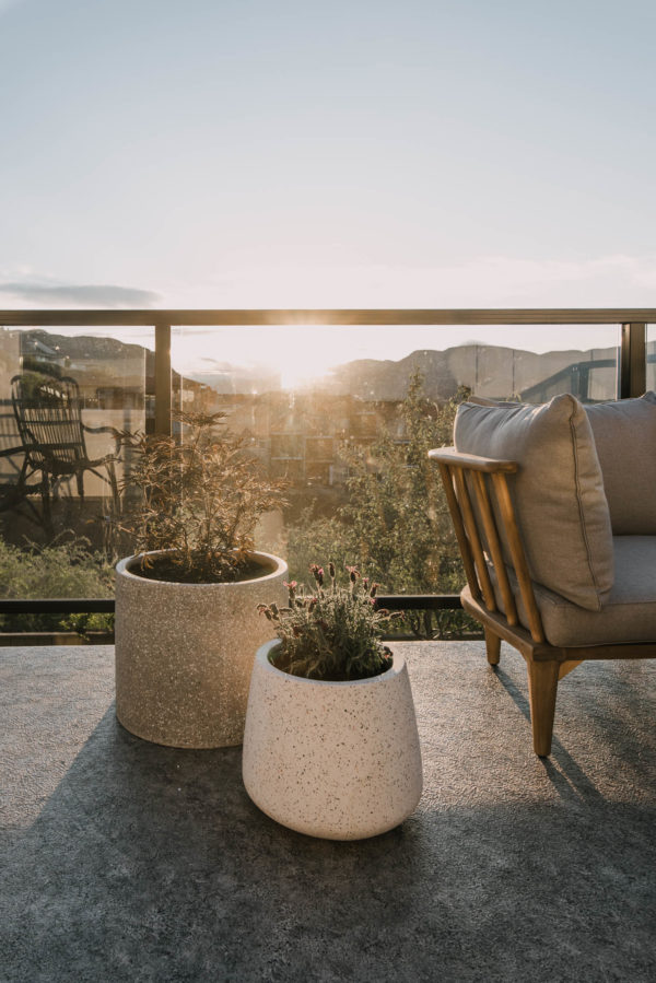Modern Deck Makeover - Lemon Thistle