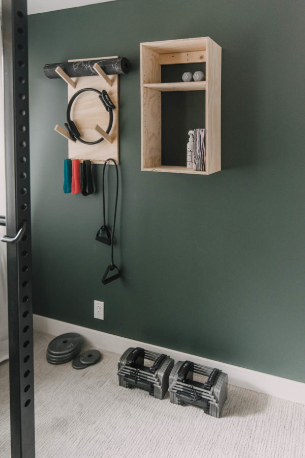 Modern Small Equipment Storage for Exercise Room - Lemon Thistle