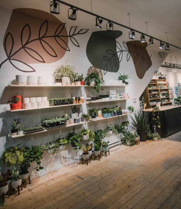 Painting a Store + Mural! - Lemon Thistle