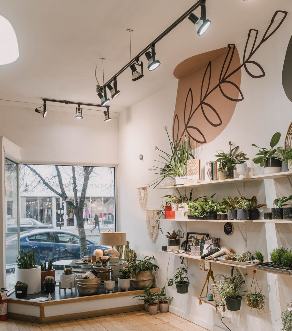 Painting a Store + Mural! - Lemon Thistle