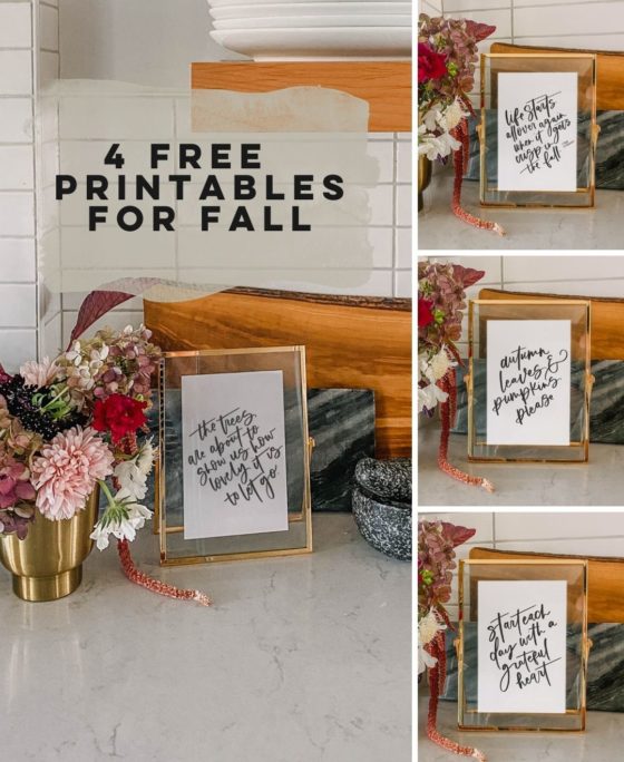 4 PRINTABLE FALL QUOTES - Lemon Thistle