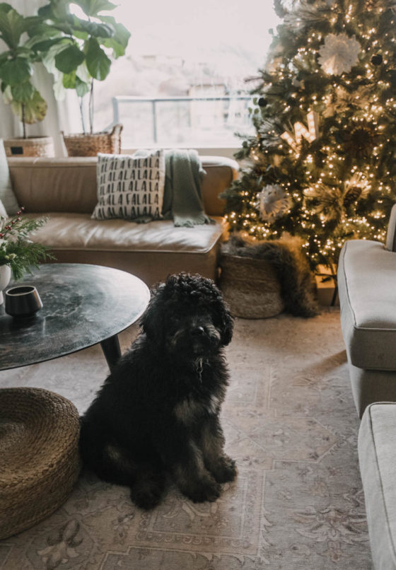 Simple Holiday Home Tour | Natural Christmas Decor Ideas - Lemon Thistle