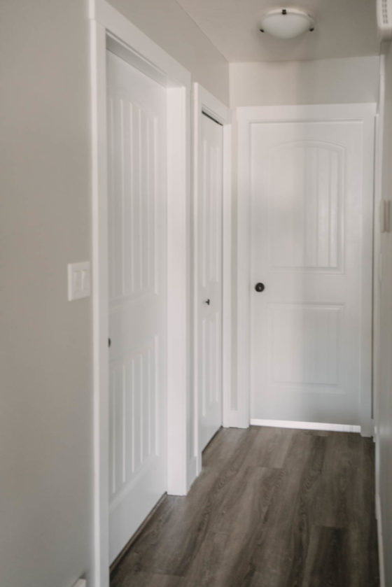 Beginner guide to Painting Interior walls with a Sprayer - Lemon Thistle