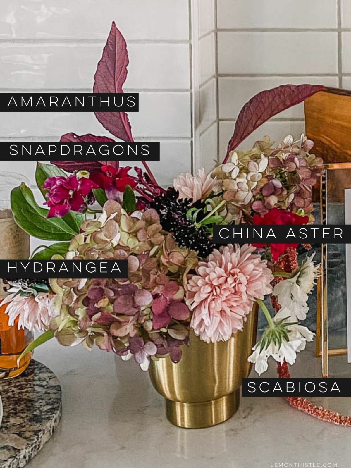 The Best Cut Flowers and Fillers to Grow for Backyard Gardeners - Lemon ...