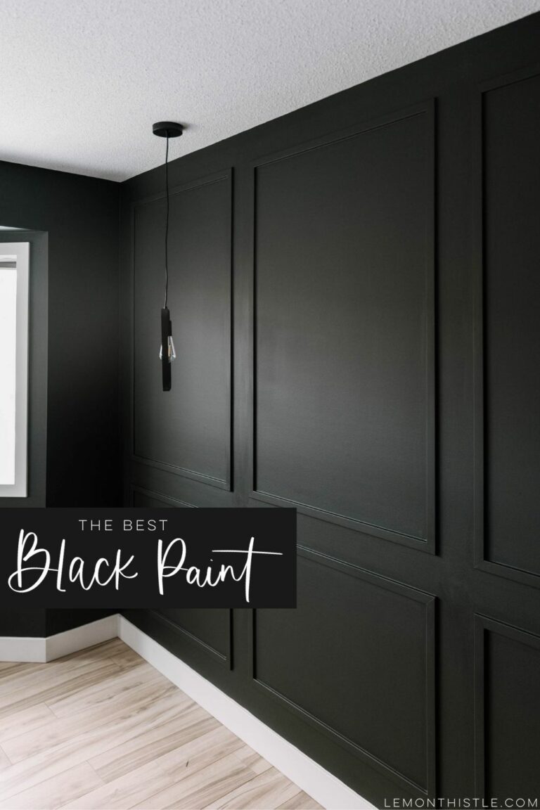 The Best Black Paint for your Home Projects - Lemon Thistle